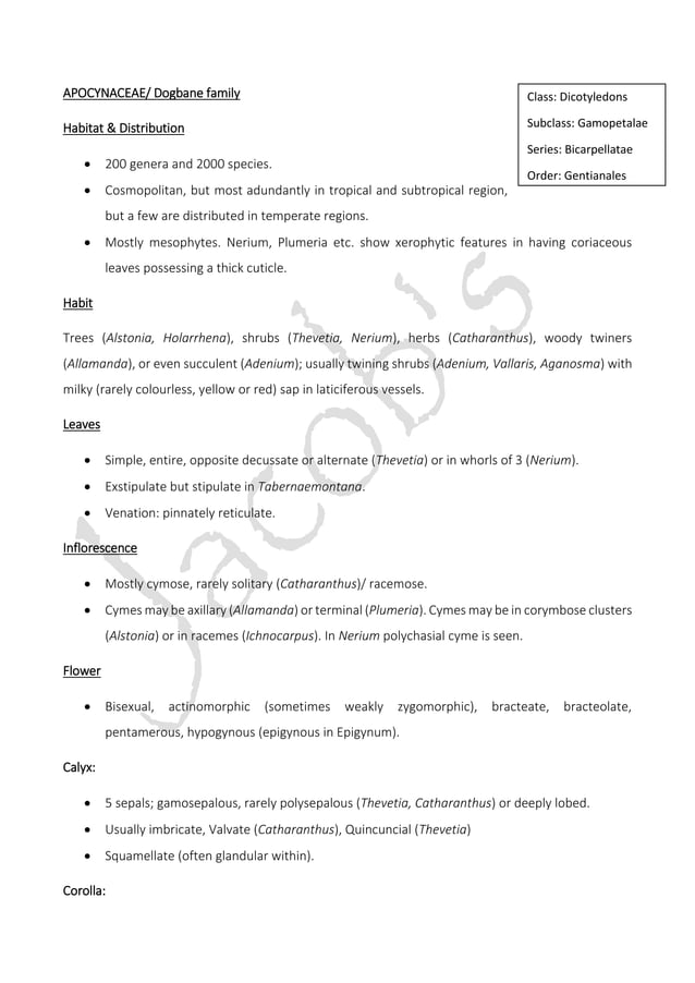 APOCYNACEAE.pdf