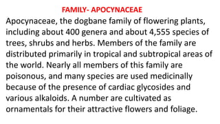 Apocynaceae family | PPTX