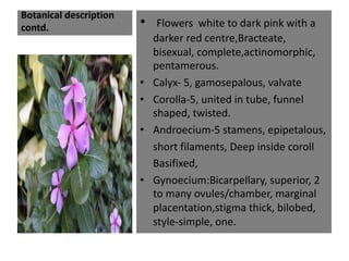 Taxonomy of Angiosperms: Family: Apocynaceae | PDF
