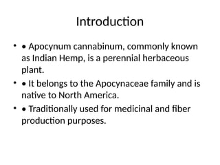 Apocynum_Cannabinum_Presentation_v2.pptx
