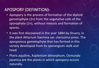 APOGAMY & APOSPORY.pptx
