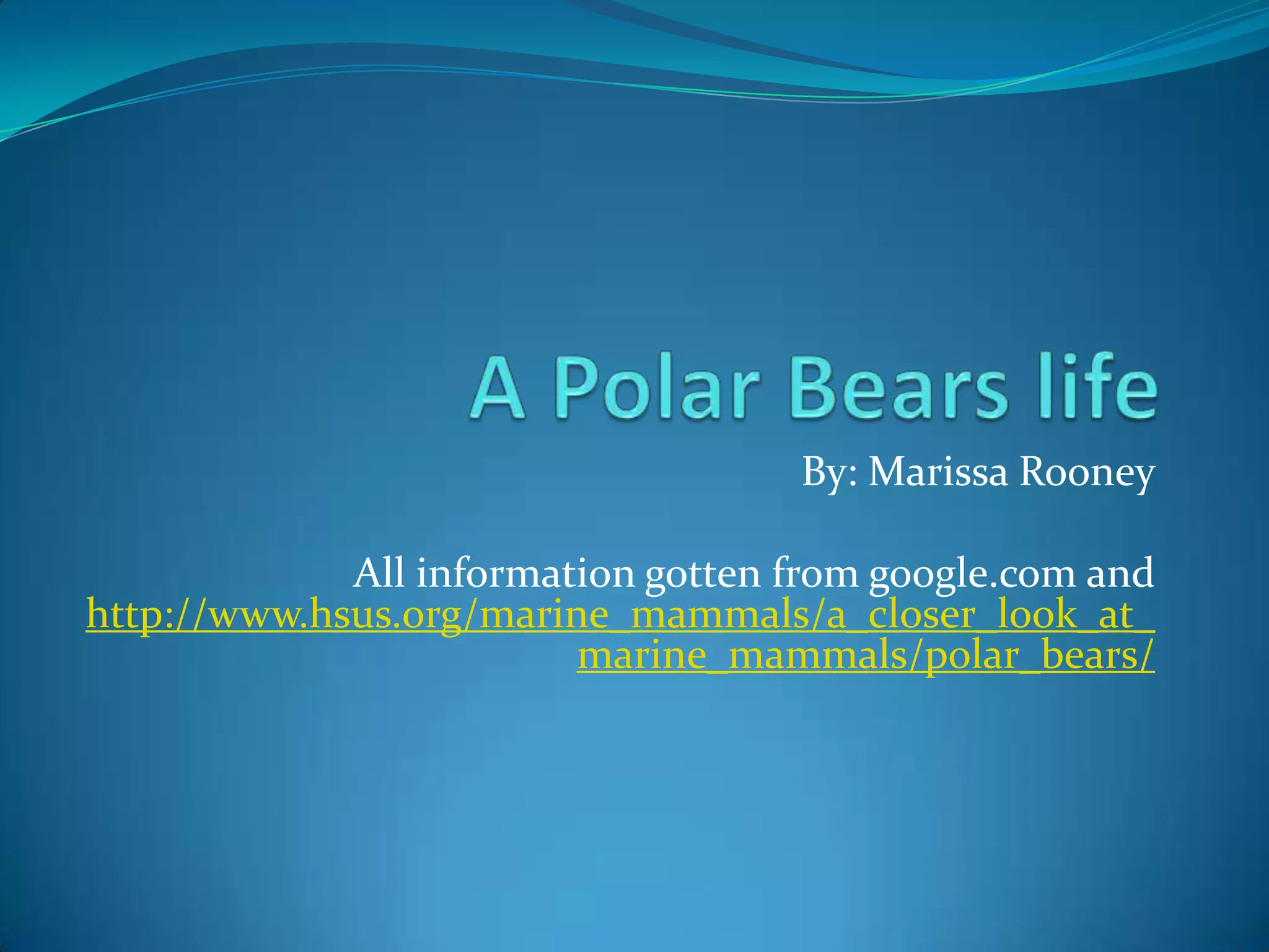 A Polar Bears Life | PPTX
