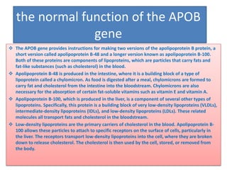 Apolipo proteins | PPTX