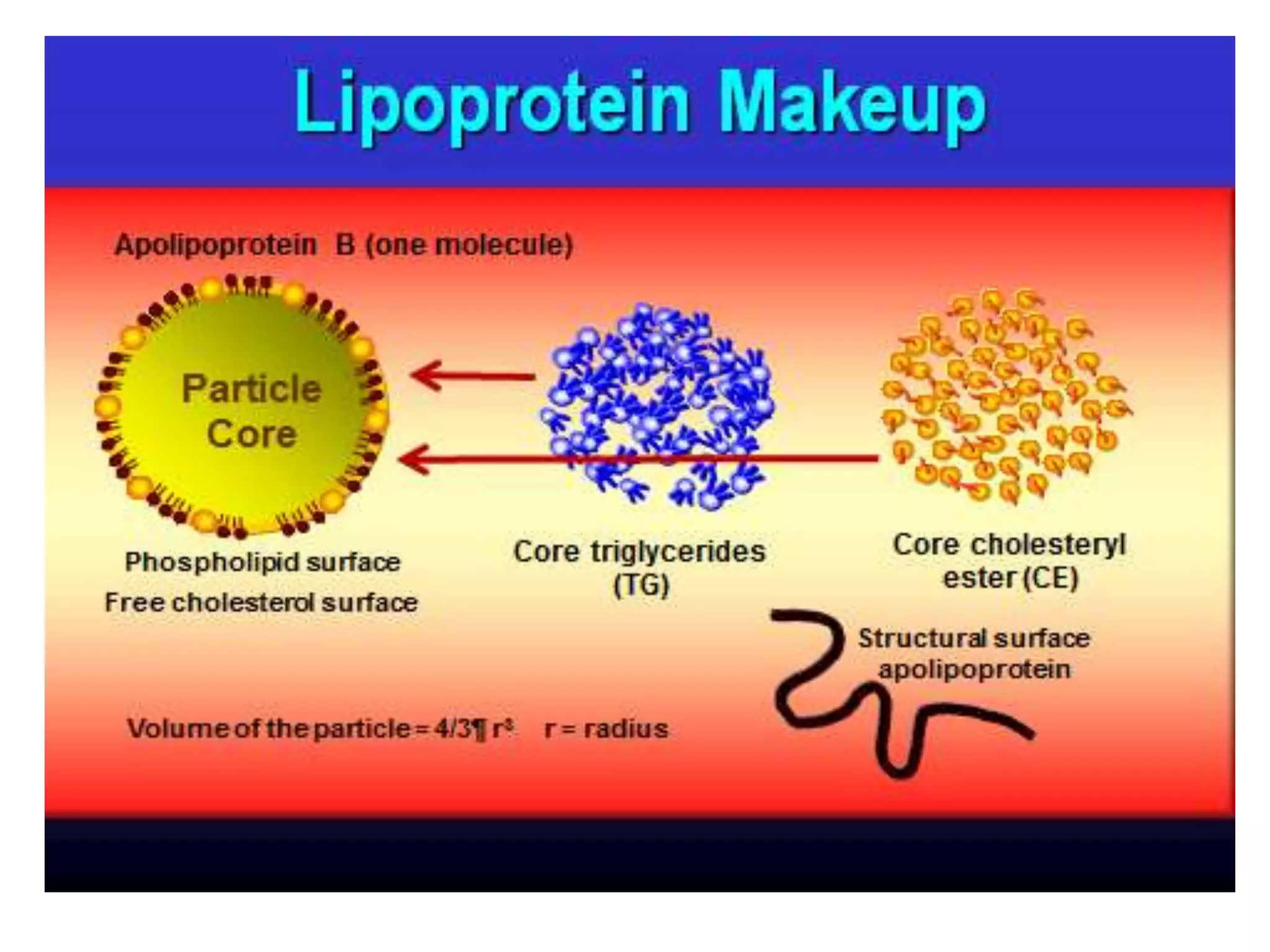 Apo lipoproteins structure and function | PPTX