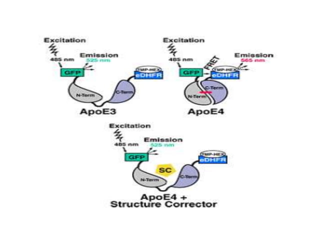 Apo lipoproteins structure and function | PPT