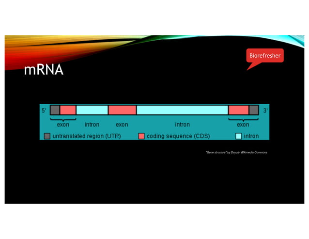 Apollo Workshop AGS2017 Introduction | PDF