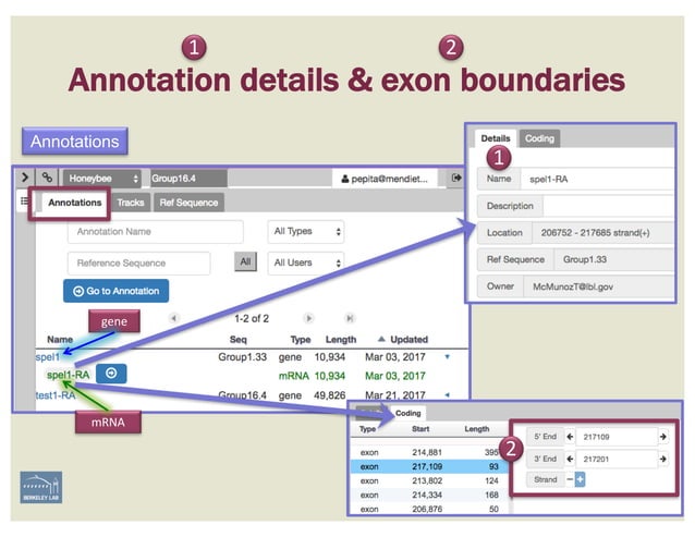 Editing Functionality - Apollo Workshop | PPT