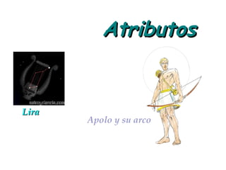 Apolo De Cristian Gallego | ODP