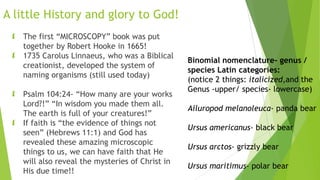 Apologia Biology - updated Module 9 & 10 (bact virus) (protist fungi ...