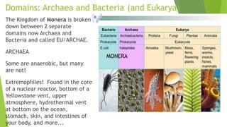 Apologia Biology - updated Module 9 & 10 (bact virus) (protist fungi ...