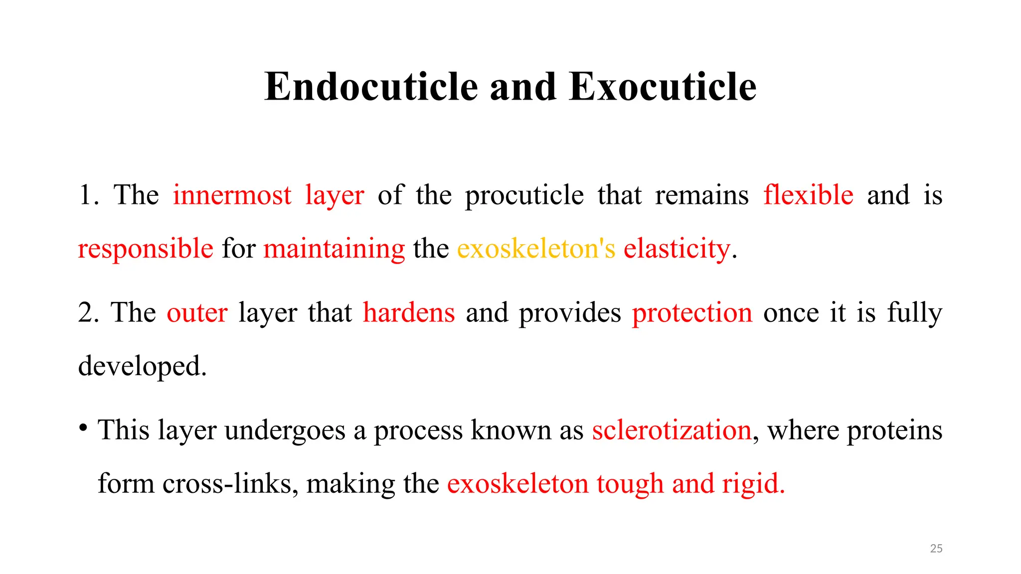 Apolysis and Ecdysis.pptx molting in insects | PPTX
