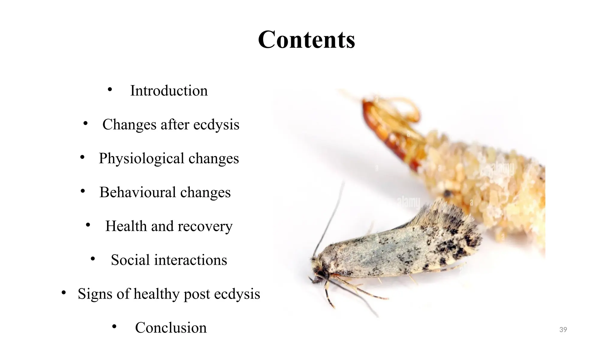 Apolysis and Ecdysis.pptx molting in insects | PPTX