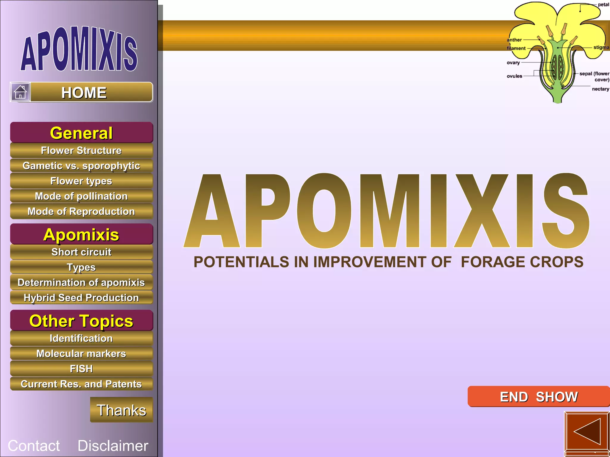 Apomixis | PPT
