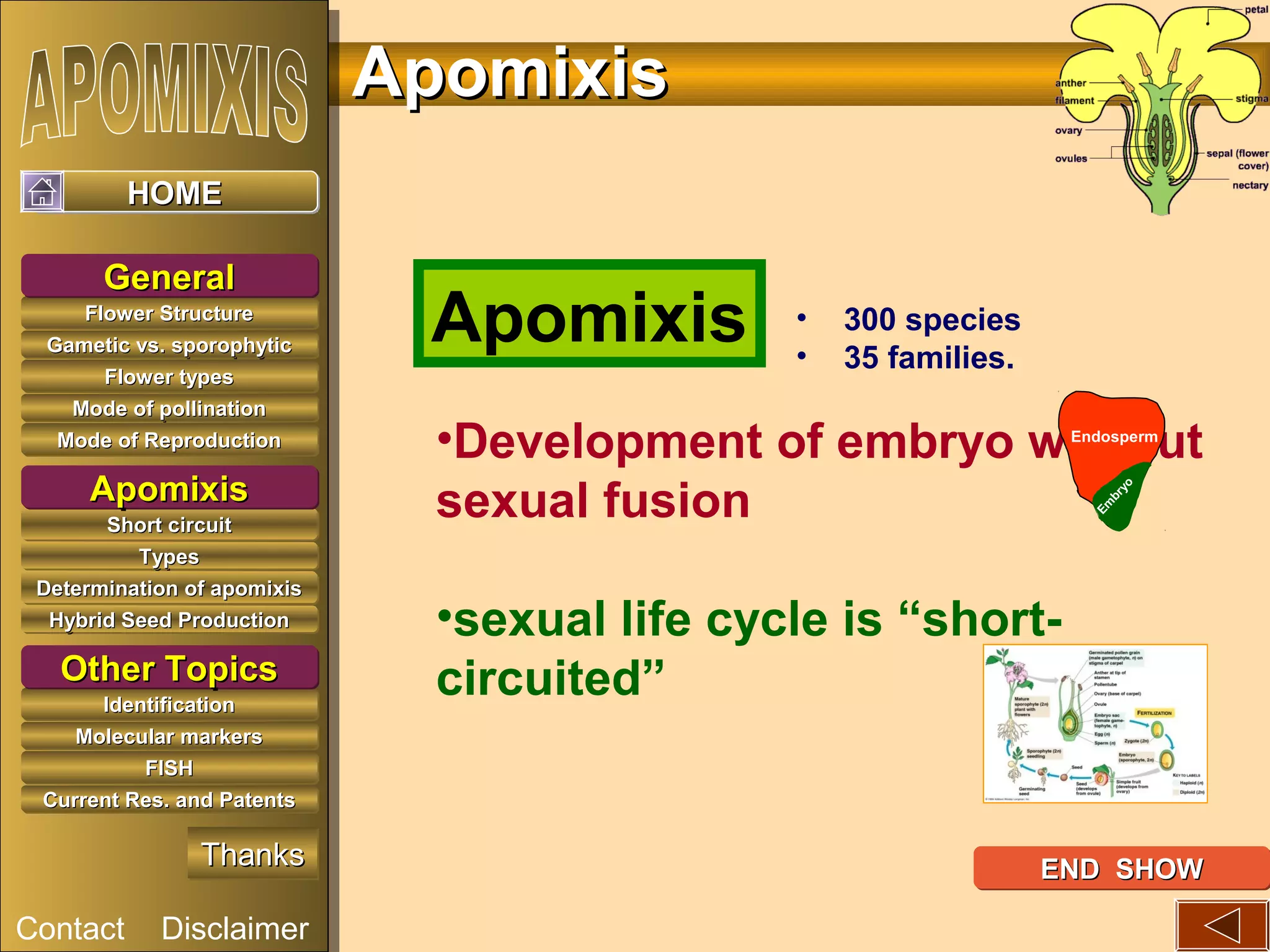 Apomixis | PPT