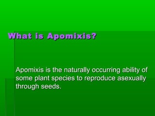 Apomixis | PPT | Genetics | Science