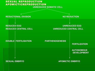 Apomixis | PPT | Genetics | Science