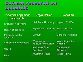 Apomixis | PPT | Genetics | Science