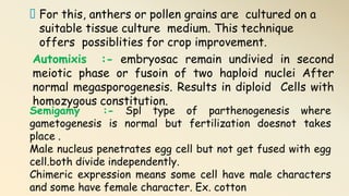 Apomixis in flowering plants | PPT