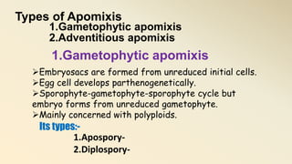 Apomixis in flowering plants | PPT