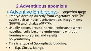 Apomixis in flowering plants | PPT