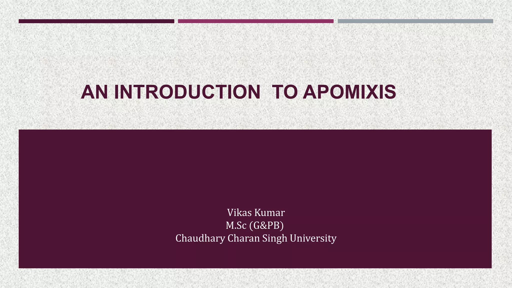 Apomixis | PPTX