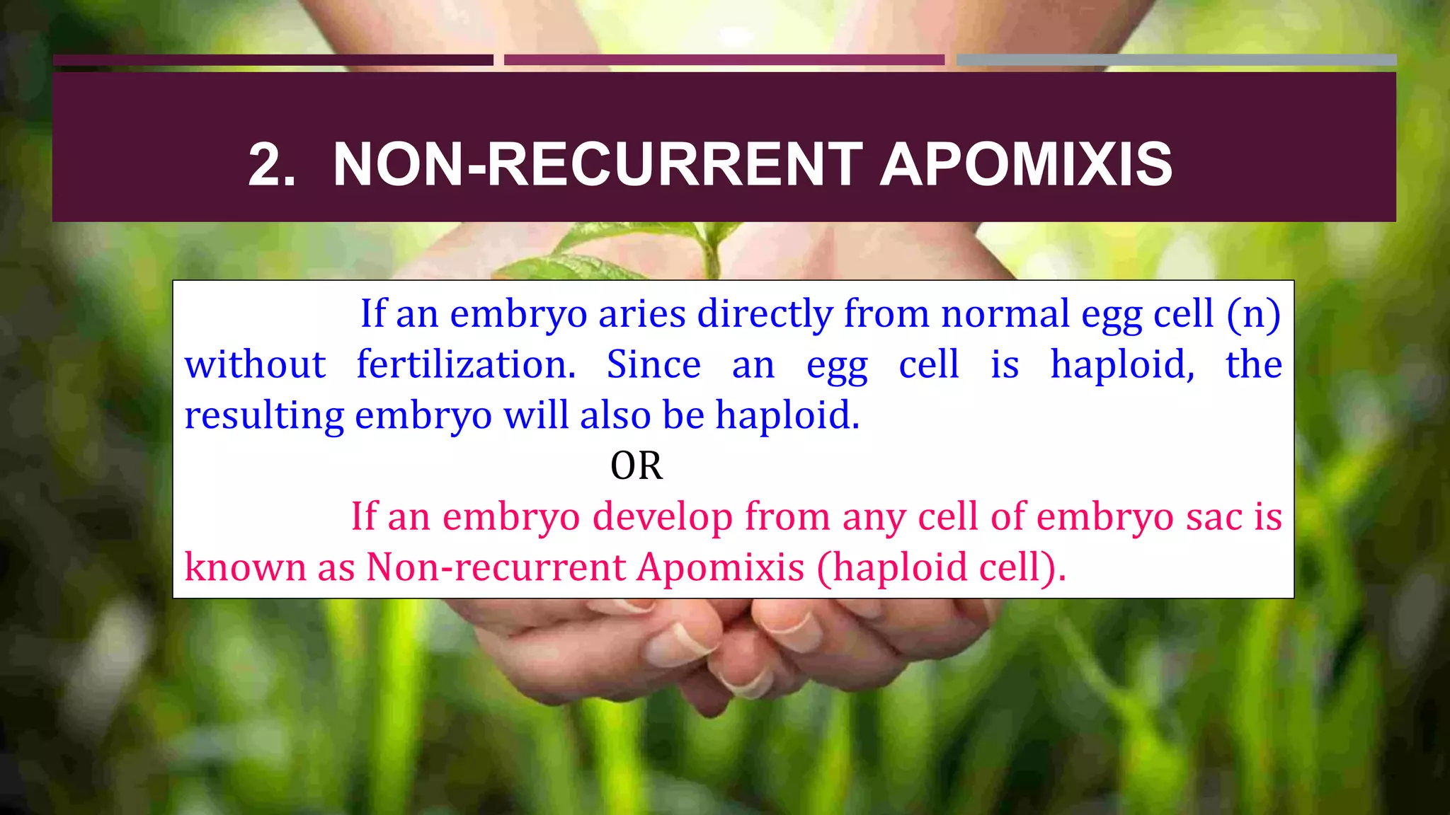 Apomixis | PPTX