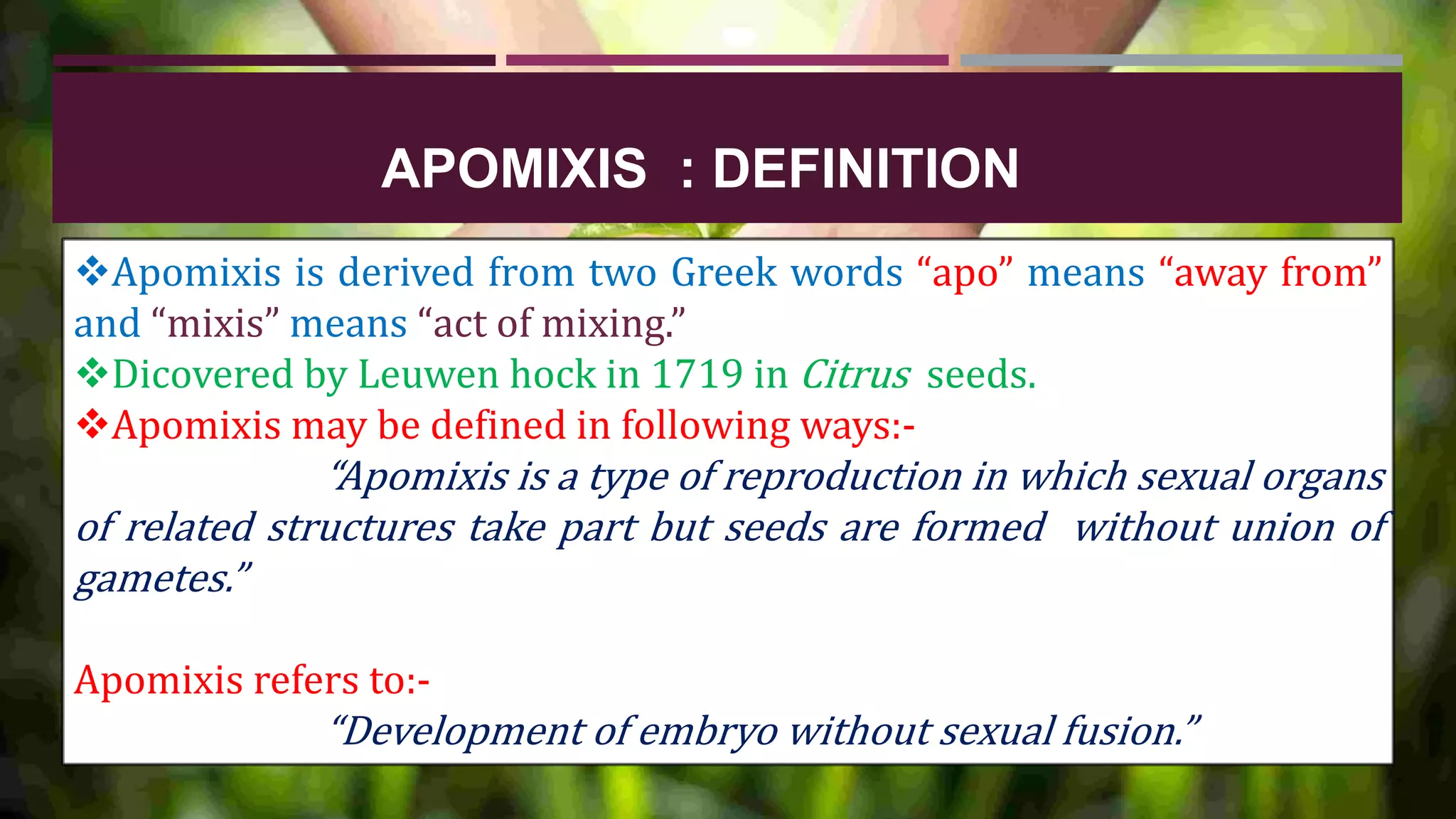 Apomixis | PPTX