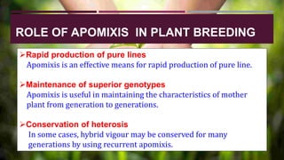 Apomixis | PPTX