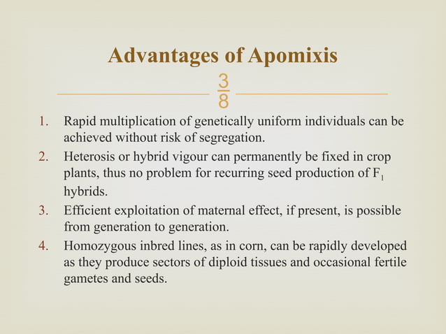 APOMIXIS and its types and how to developed apomictic line | PPTX