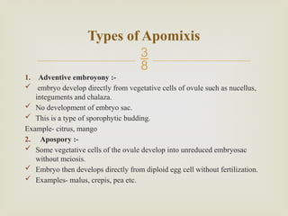 APOMIXIS and its types and how to developed apomictic line | PPTX
