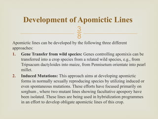APOMIXIS and its types and how to developed apomictic line | PPTX