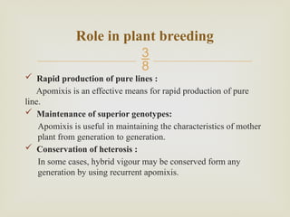 APOMIXIS and its types and how to developed apomictic line | PPTX