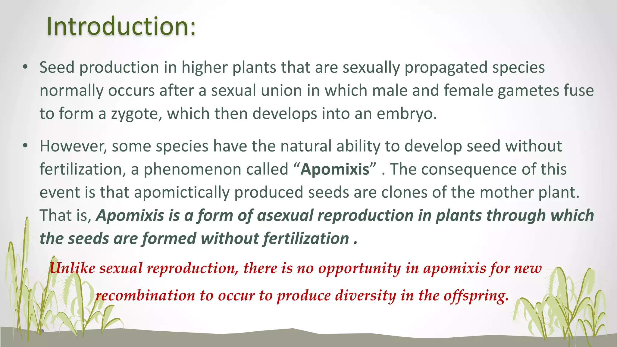 Apomixis | PPTX