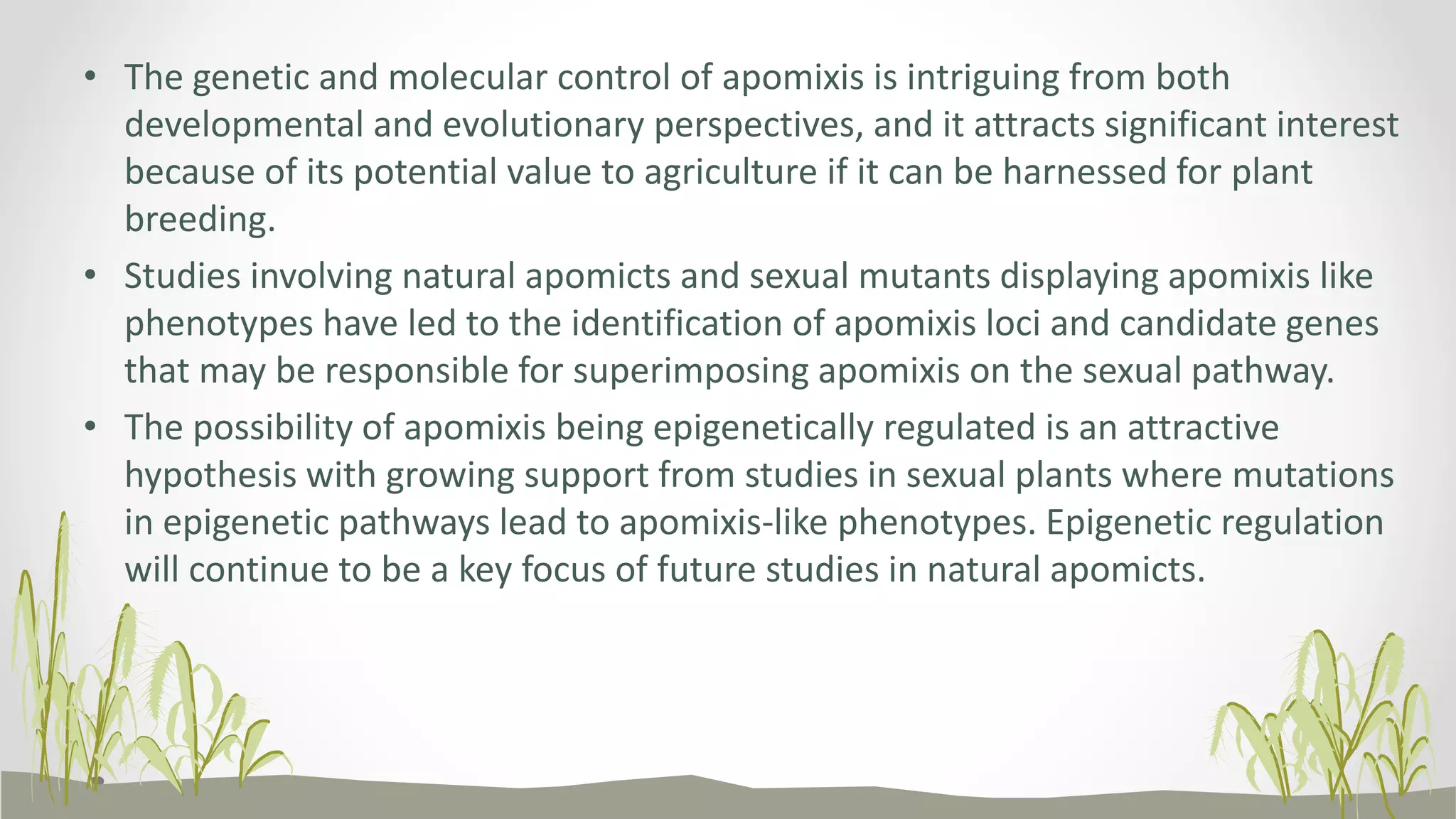 Apomixis | PPTX