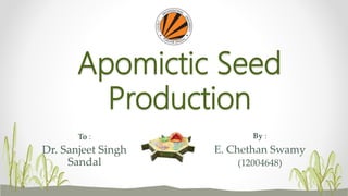 Apomixis | PPTX