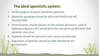 Apomixis | PPTX