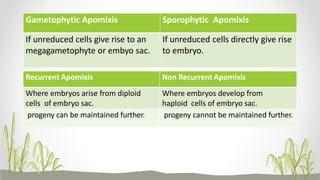 Apomixis | PPTX
