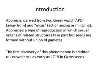 Apomixis and its application in horticulture | PPTX | Genetics | Science