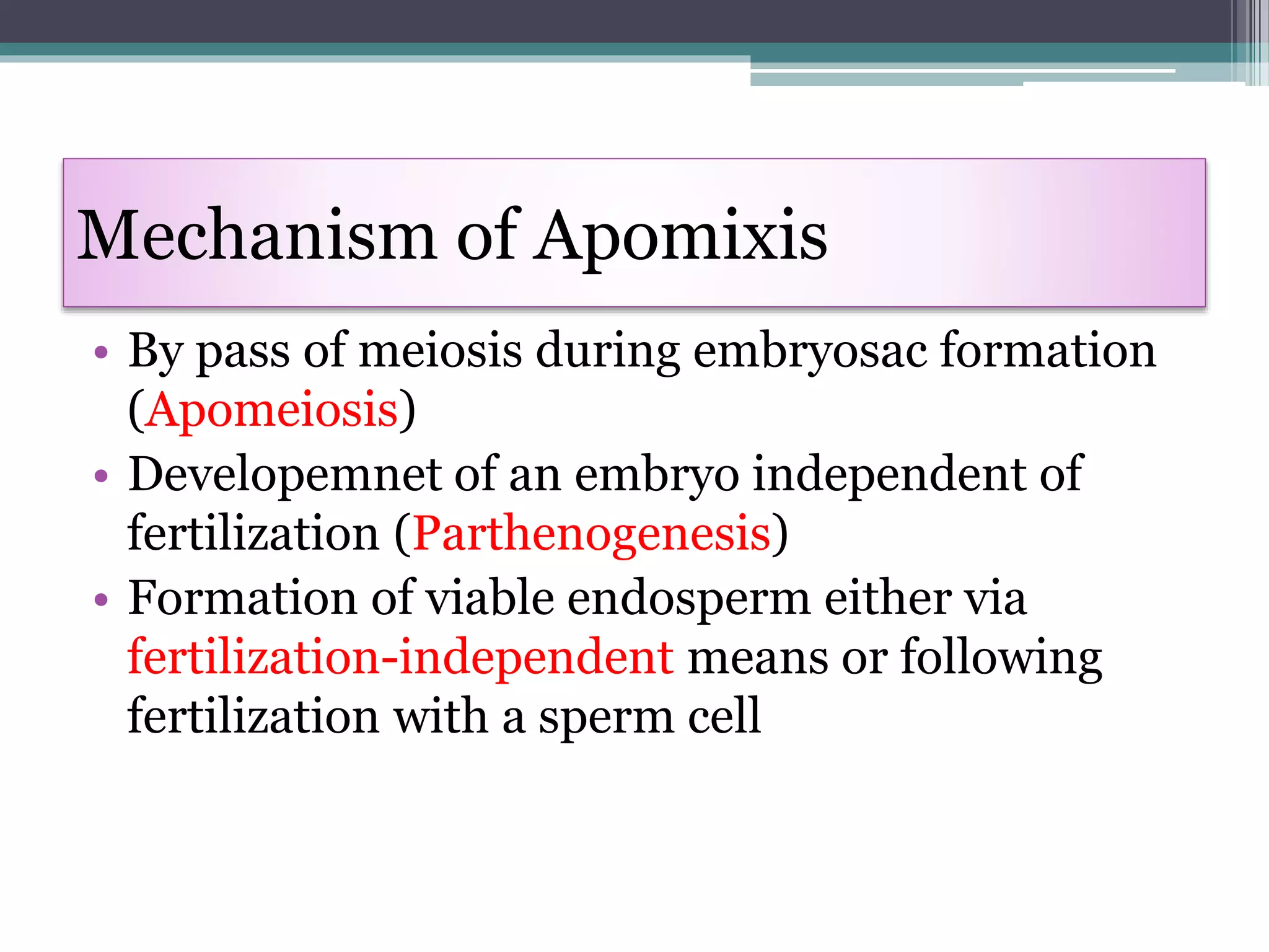 Apomixis | PPTX