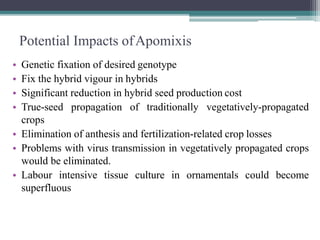 Apomixis | PPTX