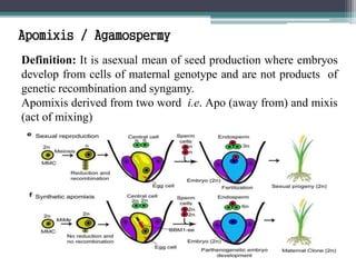 Apomixis | PPTX