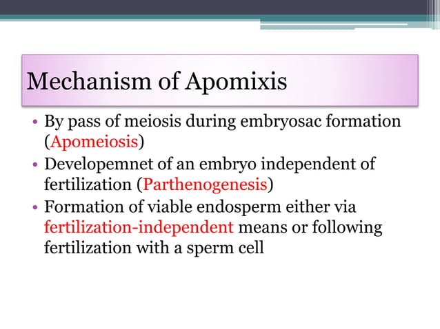 Apomixis | PPTX
