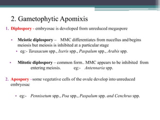 Apomixis | PPTX