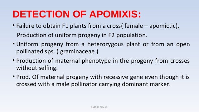 Apomixis by sudha