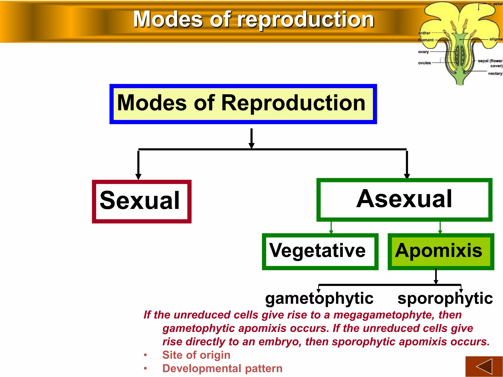 Apomixis in plants | PPTX