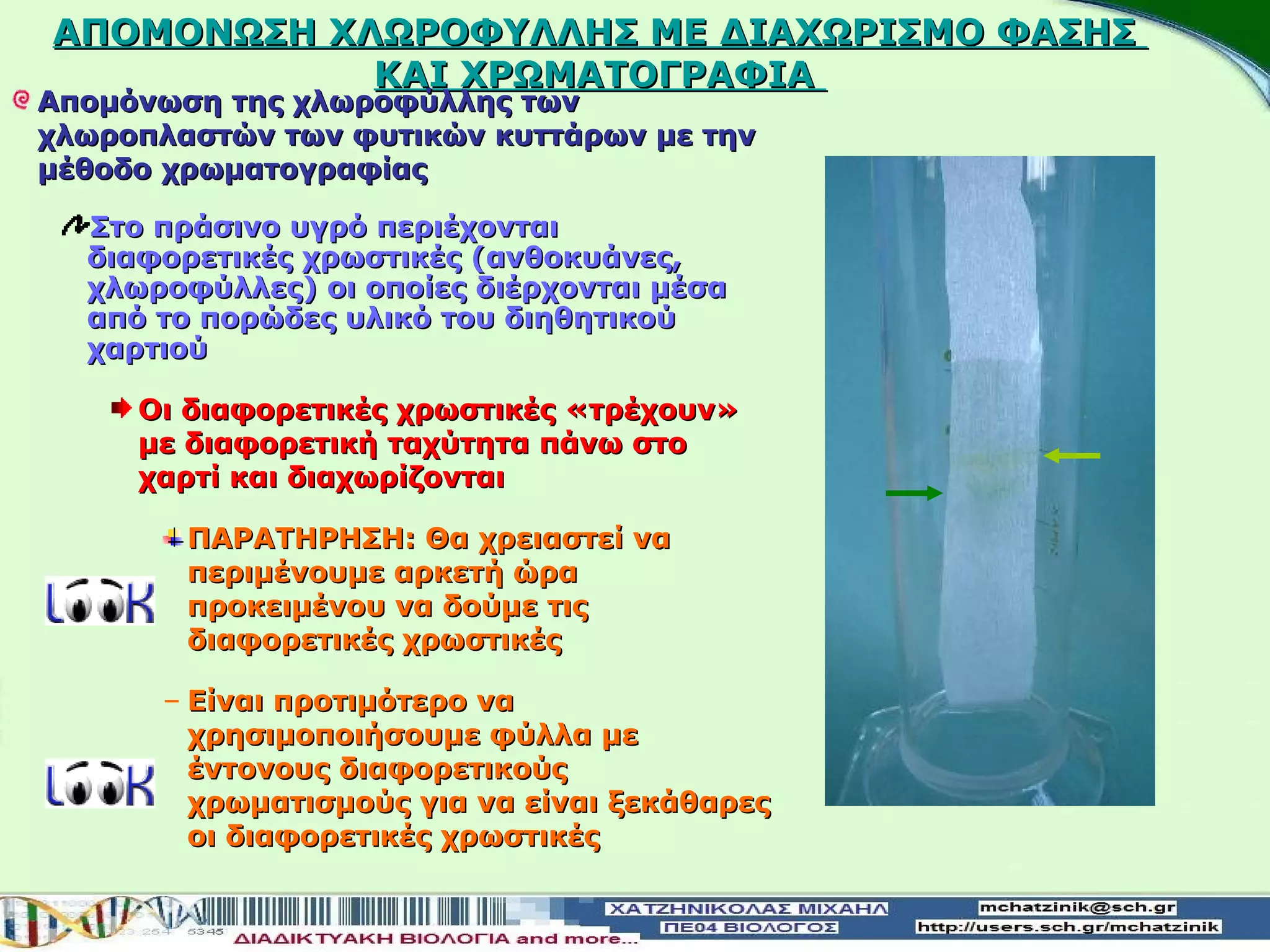 ΑΠΟΜΟΝΩΣΗ ΧΛΩΡΟΦΥΛΛΗΣ ΜΕ ΔΙΑΧΩΡΙΣΜΟ ΦΑΣΗΣ & ΧΡΩΜΑΤΟΓΡΑΦΙΑ ΔΙΑΔΙΚΤΥΑΚΗ ...