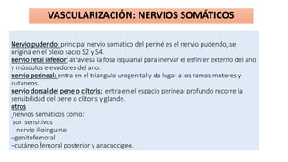 Aponeurosis | PPTX