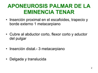 Aponeurosis De La Mano | PPT