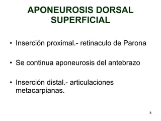 Aponeurosis De La Mano | PPT