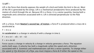 Basic Mechanism & Patterns of Flight in B | PPTX